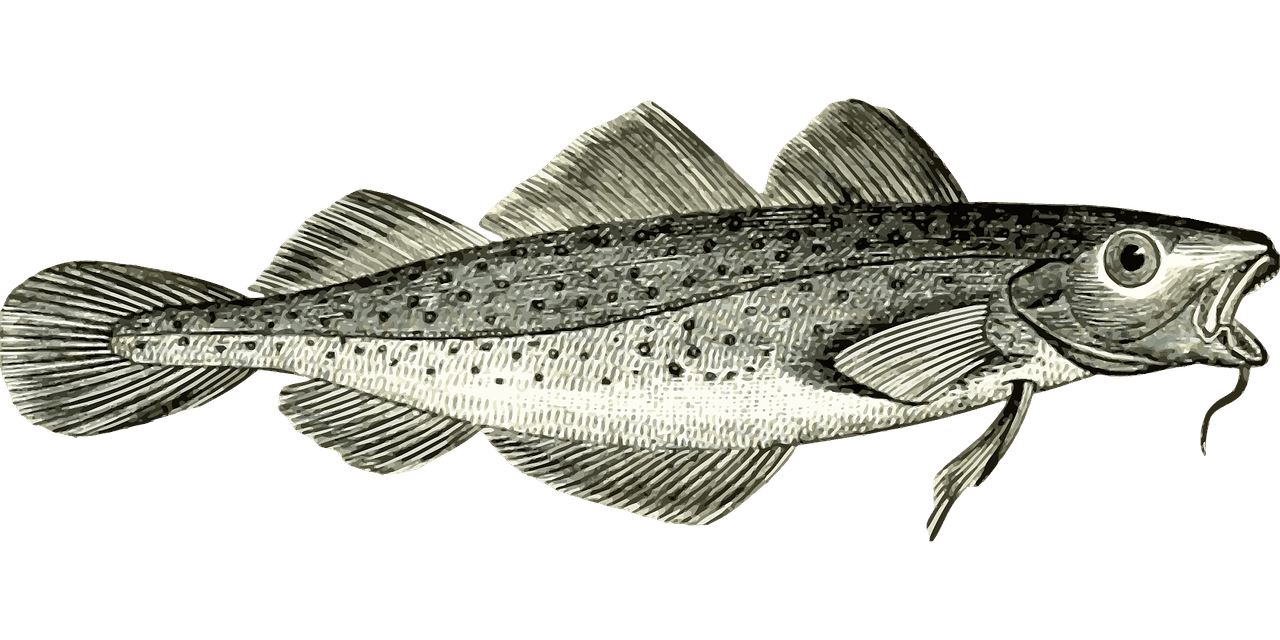 Choosing the Best Cod Liver Oil: The Complete Guide